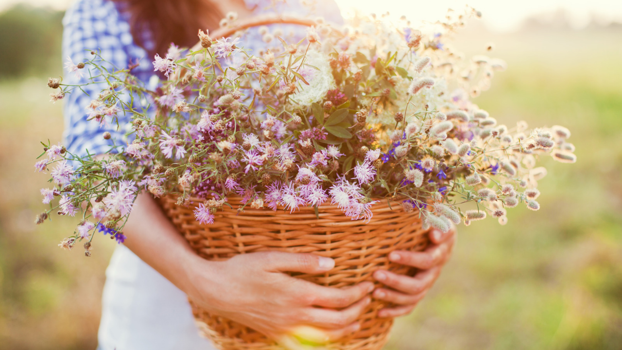 Becoming a Proverbs 31 Woman: 8 Essential Characteristics for Biblical ...