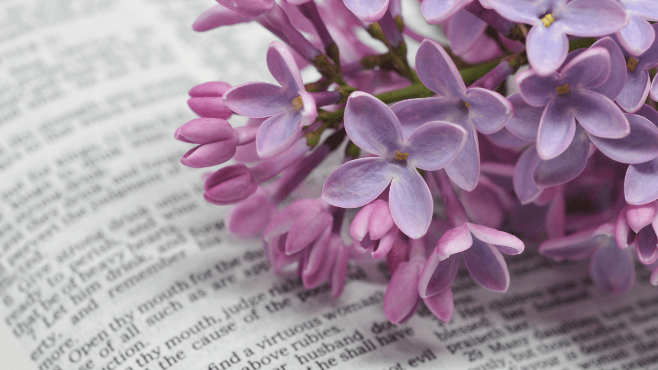 5 Ways to Maintain Your Identity as a Stay-at-Home Mom: A Comprehensive ...